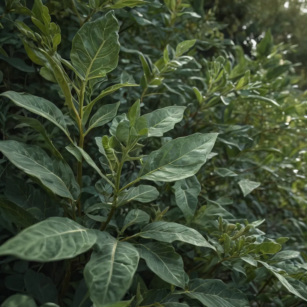 Milkweed Trees: Their Vital Role in Ecosystems